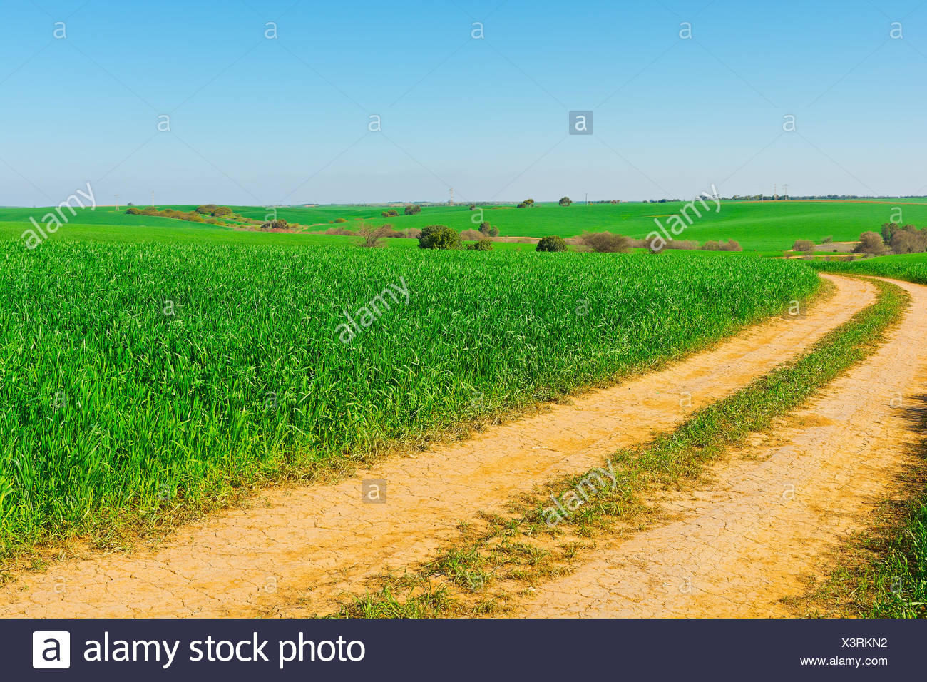 Israel Agriculture Stock Photos & Israel Agriculture Stock Images - Alamy