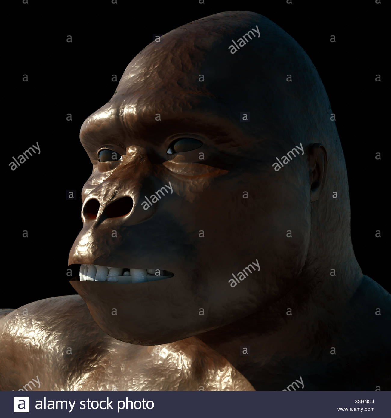 Neanderthal Man Face Stock Photos & Neanderthal Man Face Stock Images ...