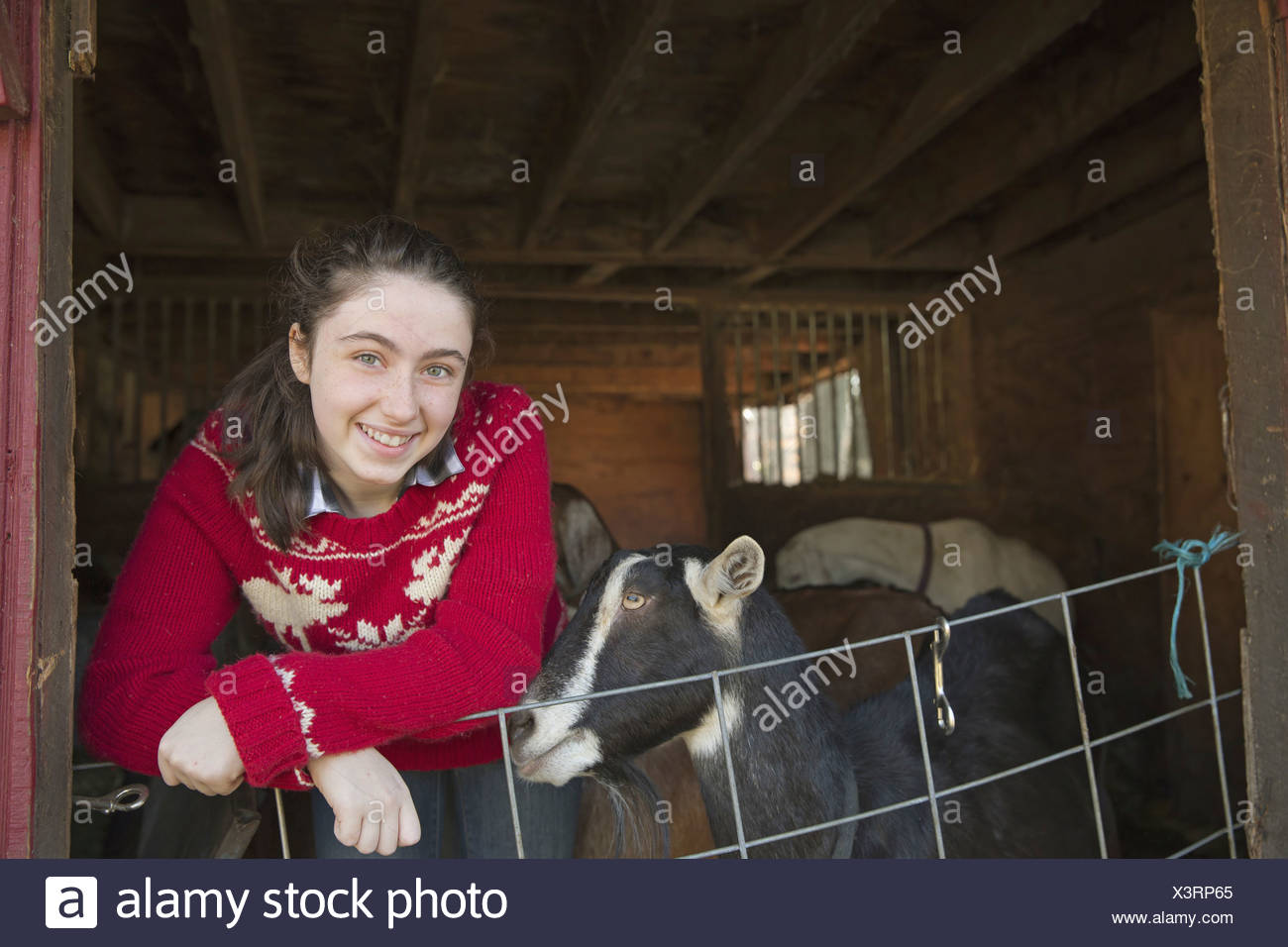 Two Young Goats High Resolution Stock Photography and Images - Alamy