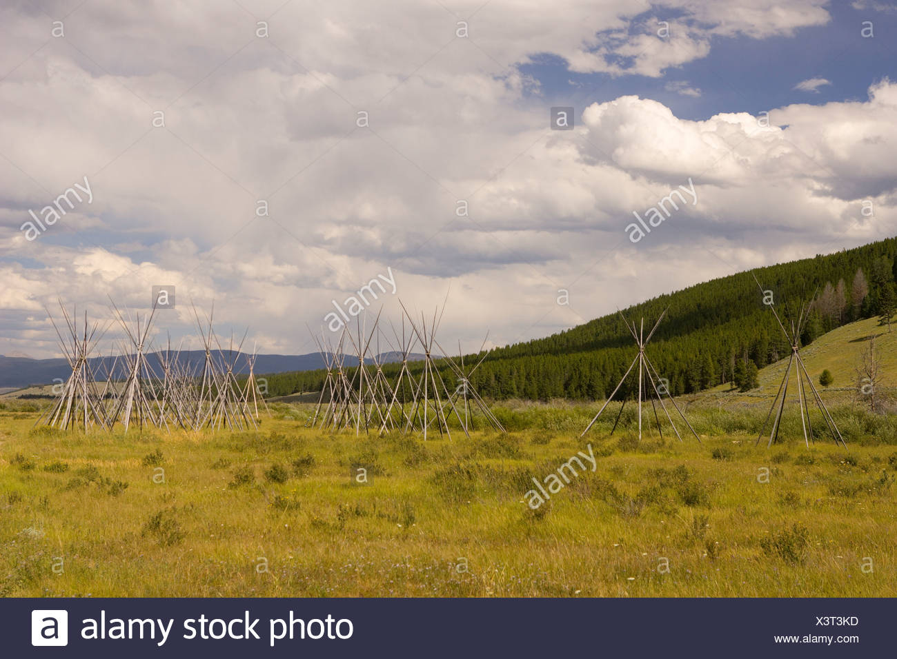 Nez Perce High Resolution Stock Photography and Images - Alamy