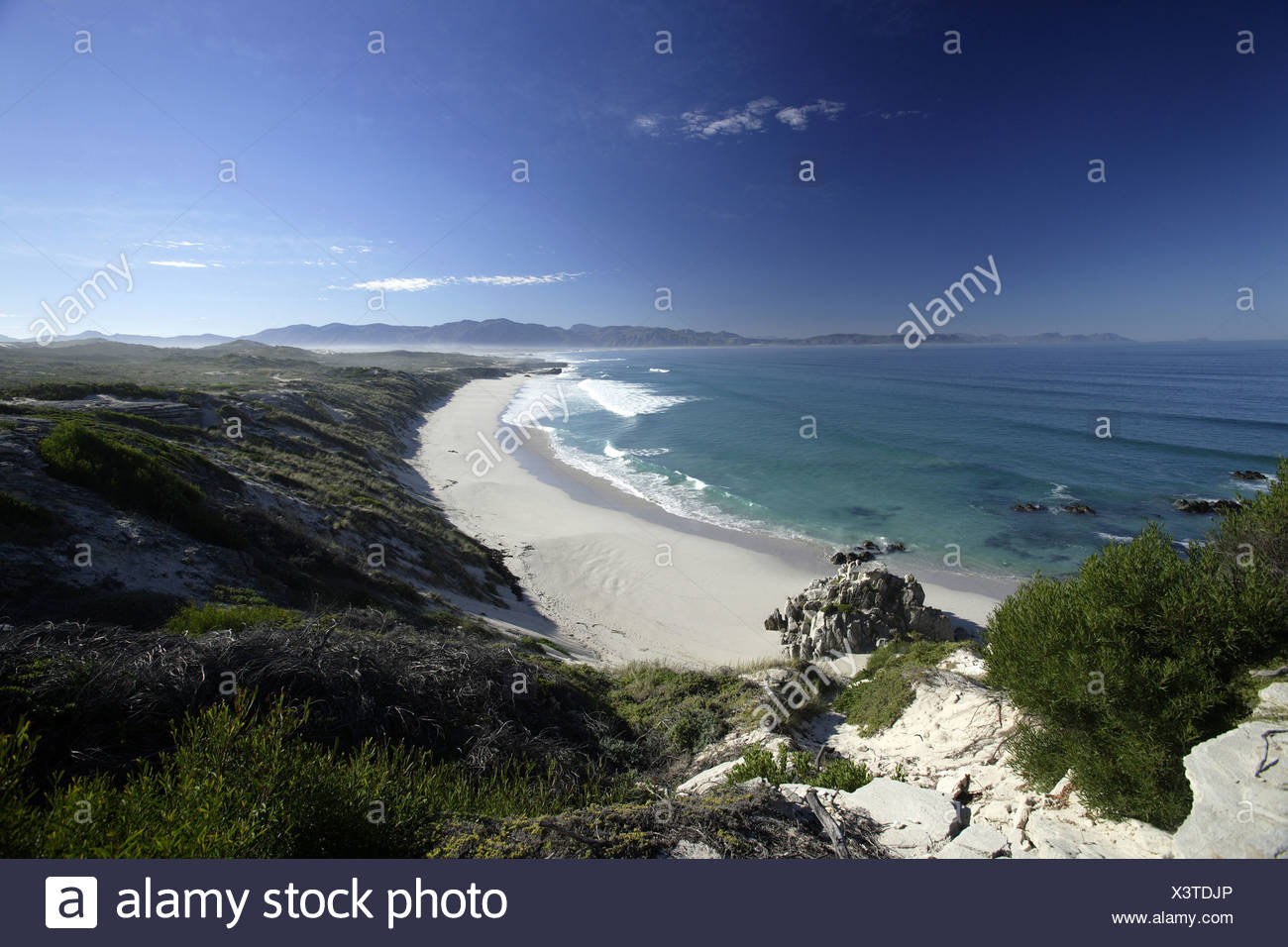 Gansbaai High Resolution Stock Photography and Images - Alamy