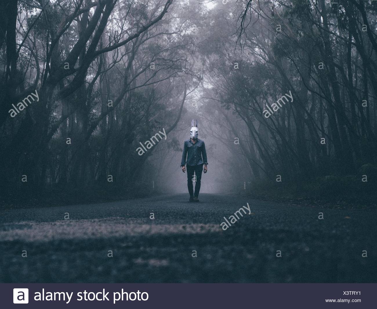 Human Transportation High Resolution Stock Photography and Images - Alamy