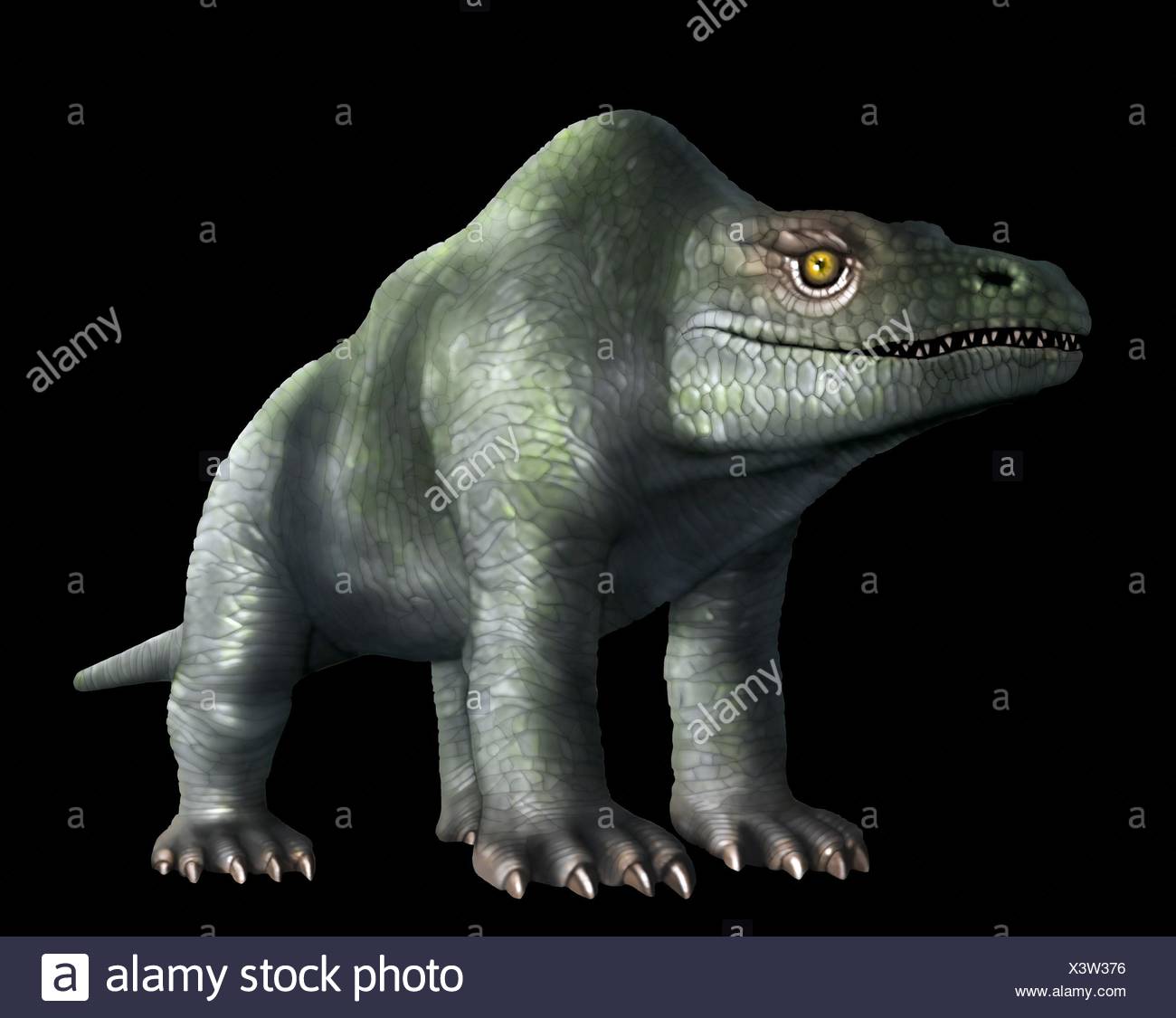 Medium Sized Theropod High Resolution Stock Photography and Images - Alamy