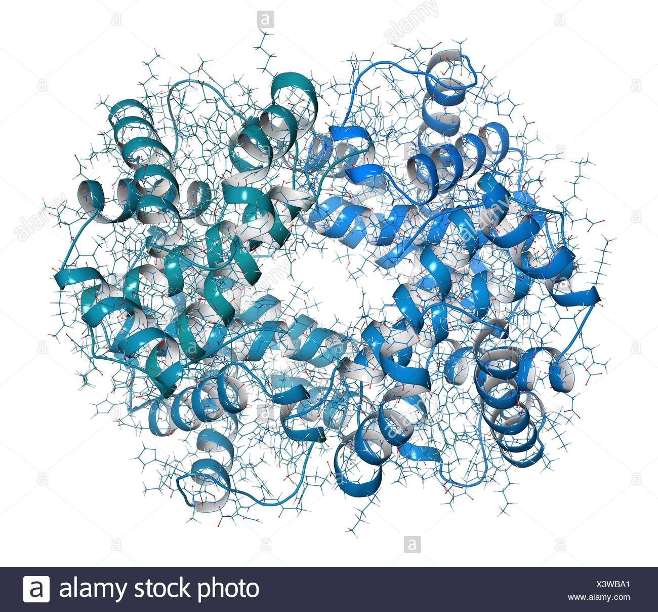 Polymer Cells High Resolution Stock Photography and Images - Alamy