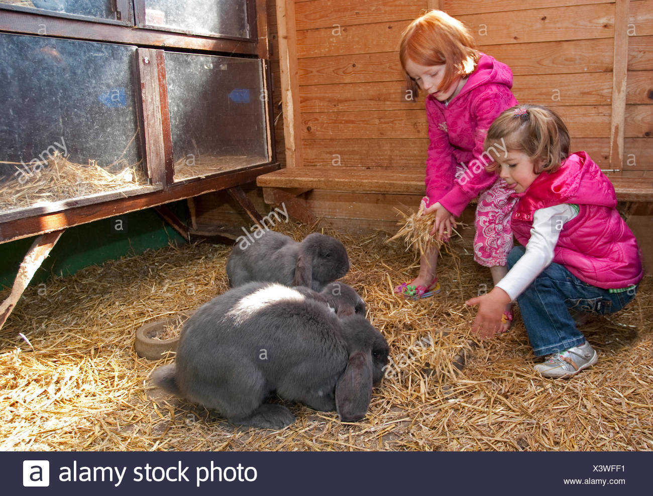 Children Playing Childrens Farm High Resolution Stock Photography and ...