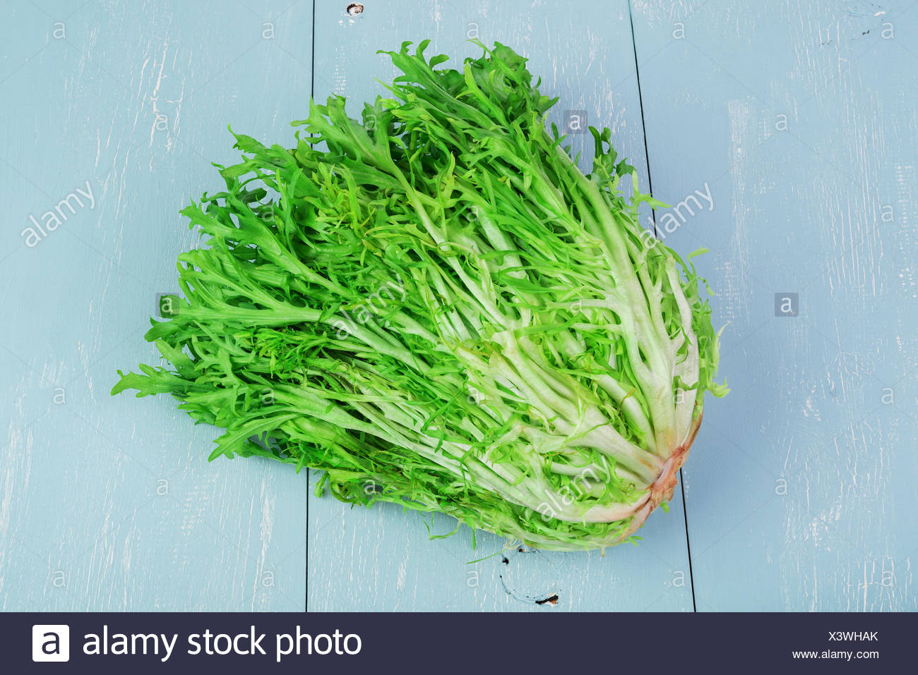 Curly Endive High Resolution Stock Photography and Images - Alamy