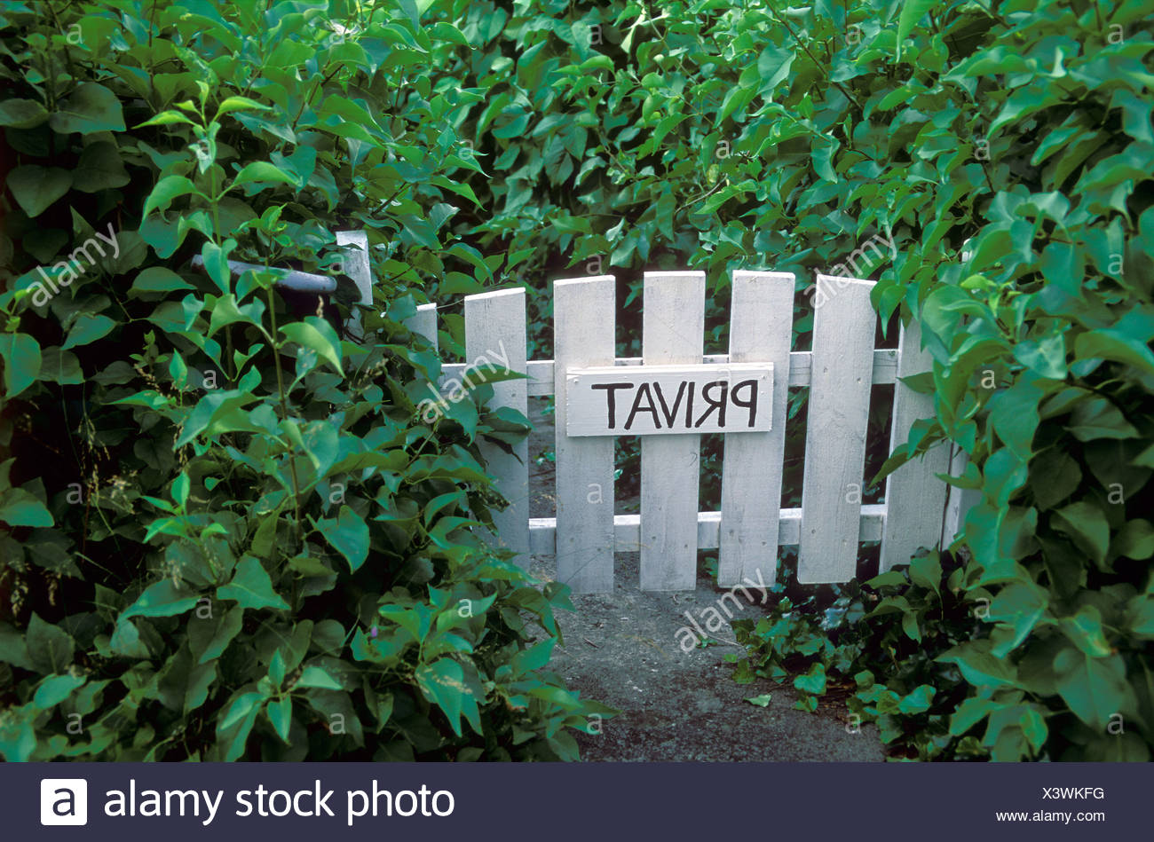 Overgrown Garden Gate Plants Gate High Resolution Stock Photography and ...