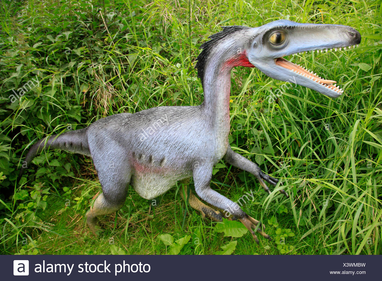 Troodon Stock Photos & Troodon Stock Images - Alamy