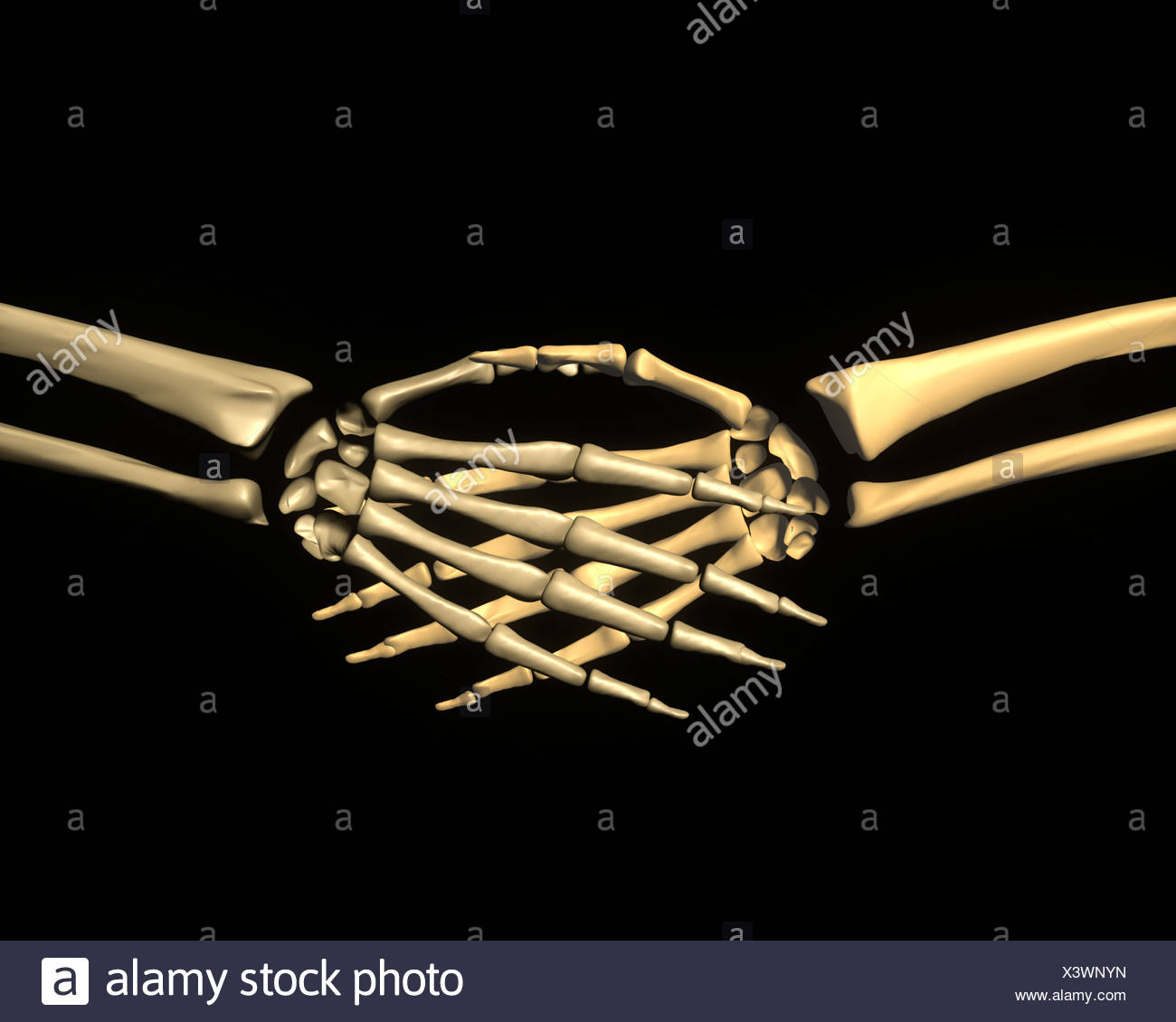 Skeleton Handshake High Resolution Stock Photography and Images - Alamy