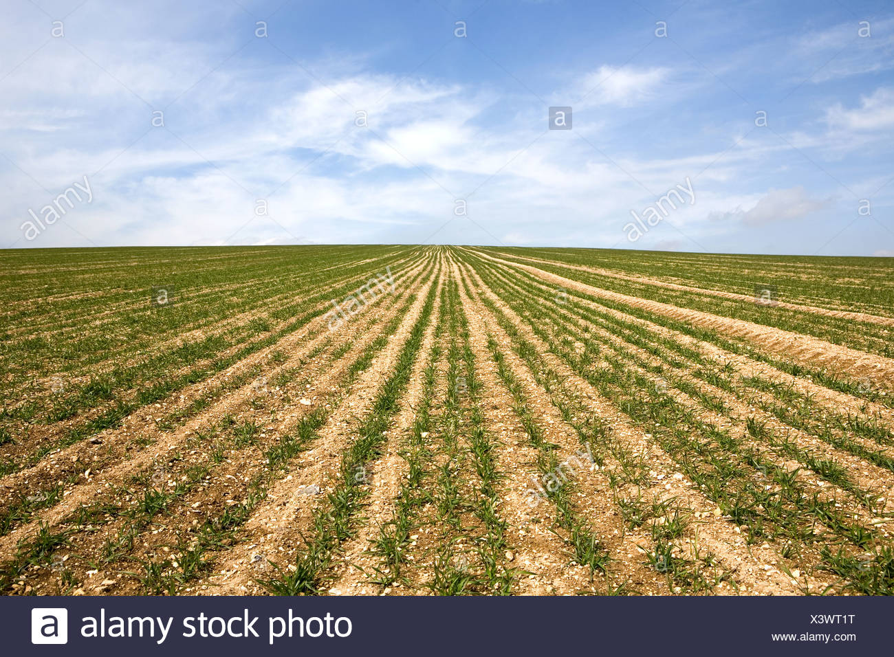 Crops Harvesting High Resolution Stock Photography and Images - Alamy