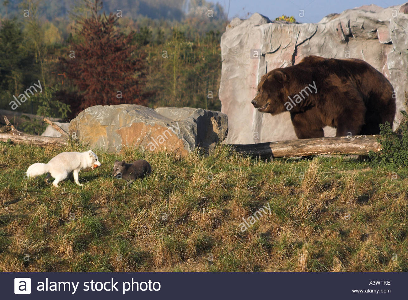 Gimmick Stock Photos & Gimmick Stock Images - Alamy