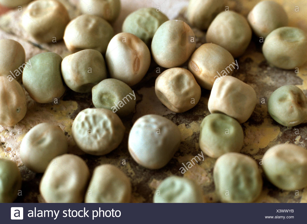 Wrinkled Pea High Resolution Stock Photography and Images - Alamy