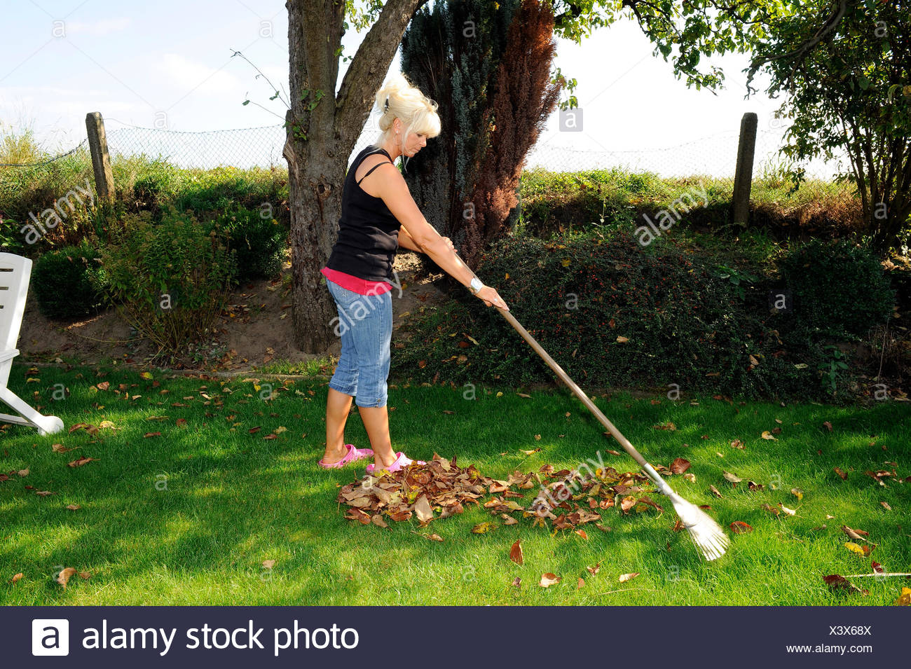 Sweep Leaves Not Lives Stock Photos & Sweep Leaves Not Lives Stock ...