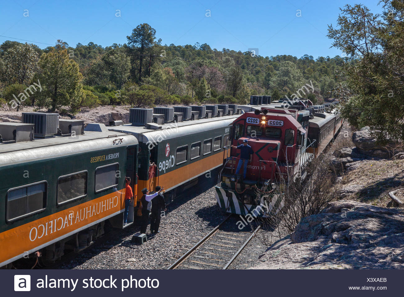The Chihuahua Pacifico Train High Resolution Stock Photography and ...
