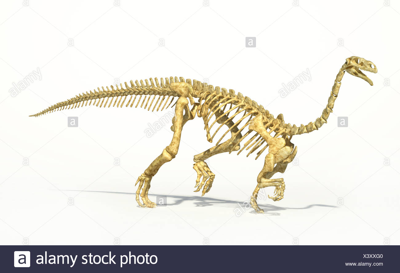 Triassic Cretaceous Stock Photos & Triassic Cretaceous Stock Images - Alamy