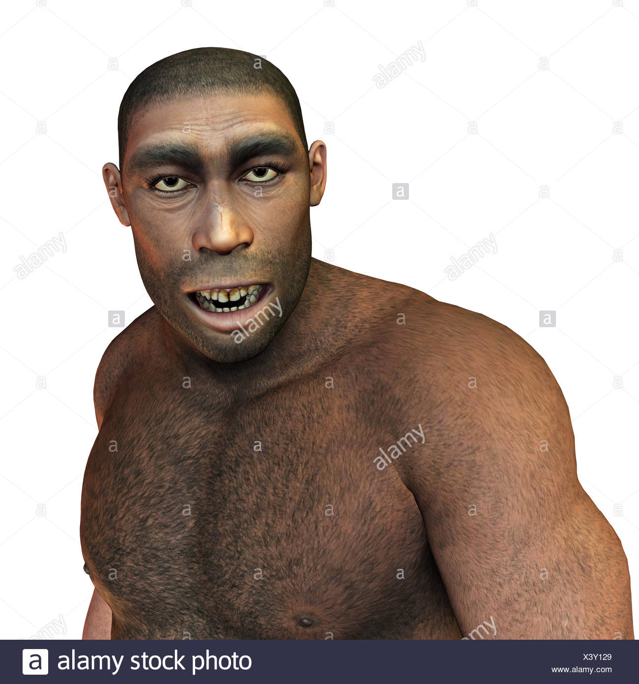 Human Homo Erectus High Resolution Stock Photography and Images - Alamy