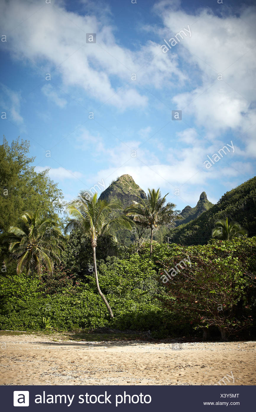 Haena Beach Park High Resolution Stock Photography and Images - Alamy