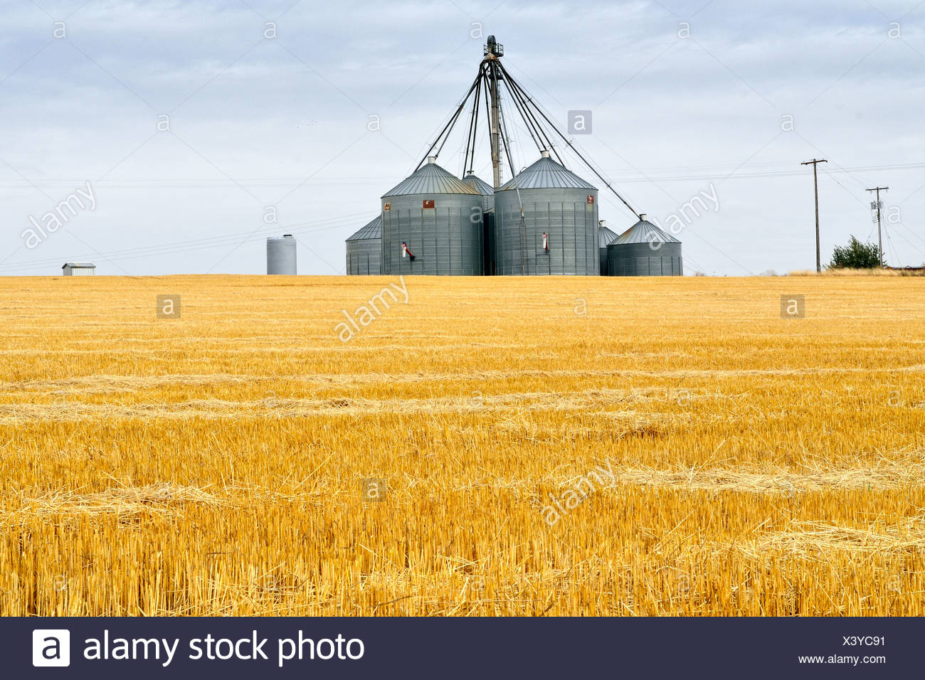 Crop Silos High Resolution Stock Photography and Images - Alamy
