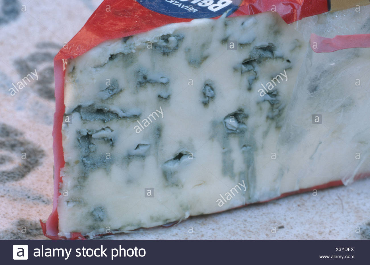 Penicillium Fungus Mold Stock Photos & Penicillium Fungus Mold Stock ...