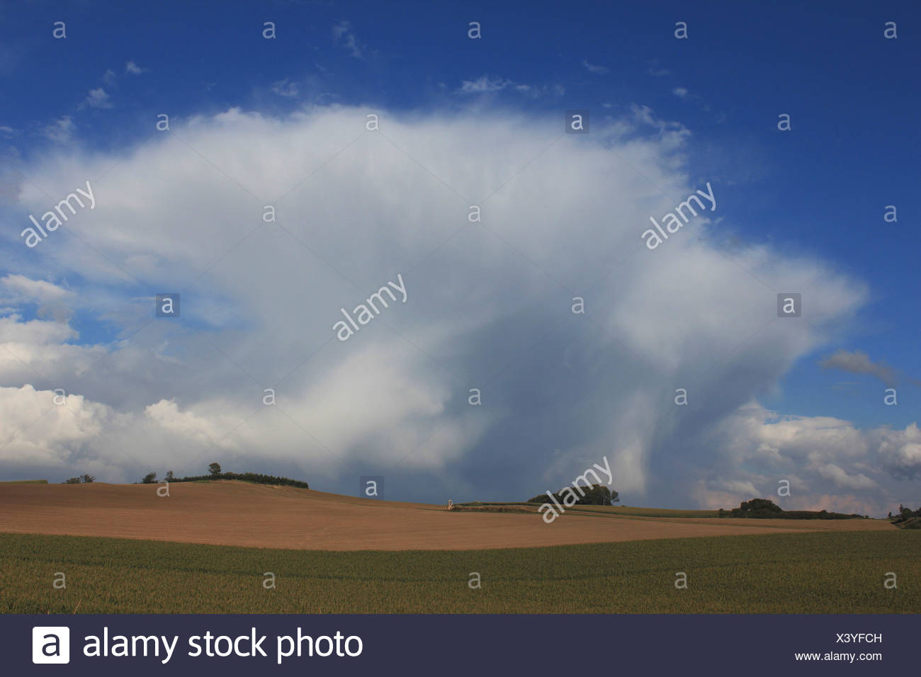 Cumulonimbus Capillatus Incus High Resolution Stock Photography and ...