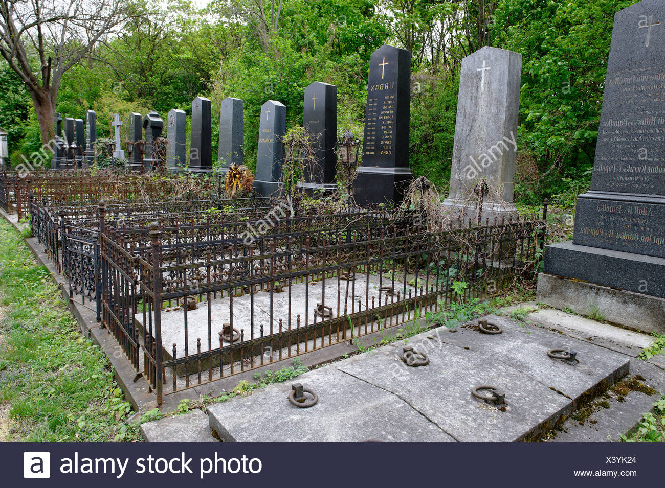 Vienna Cemetery High Resolution Stock Photography and Images - Alamy
