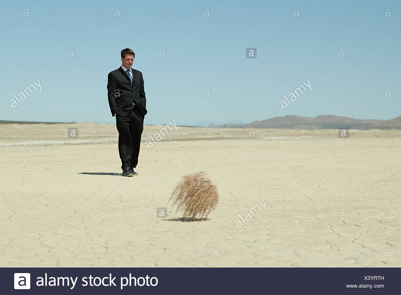 Desert Tumbleweed High Resolution Stock Photography and Images - Alamy