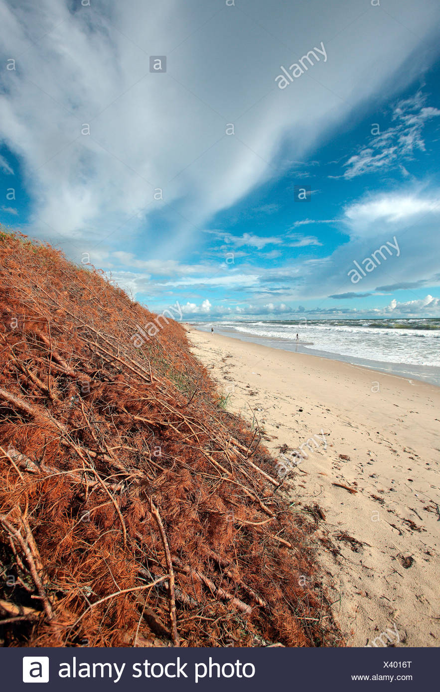 Sheltered Coastline High Resolution Stock Photography and Images - Alamy