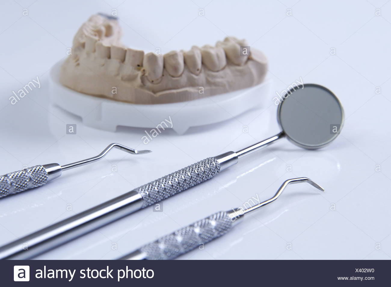 Lower Jaws High Resolution Stock Photography and Images - Alamy