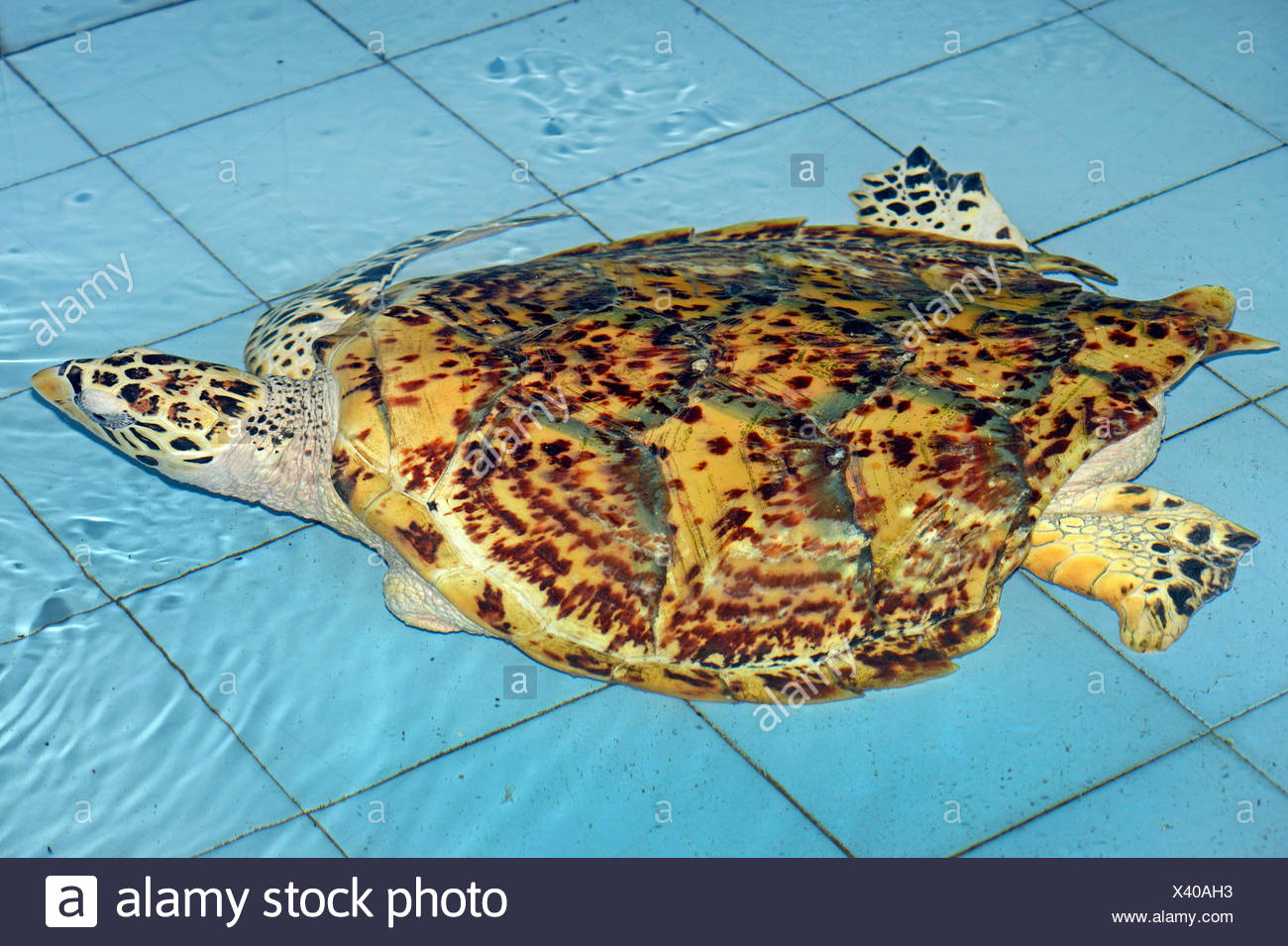 Propeller Damage High Resolution Stock Photography and Images - Alamy