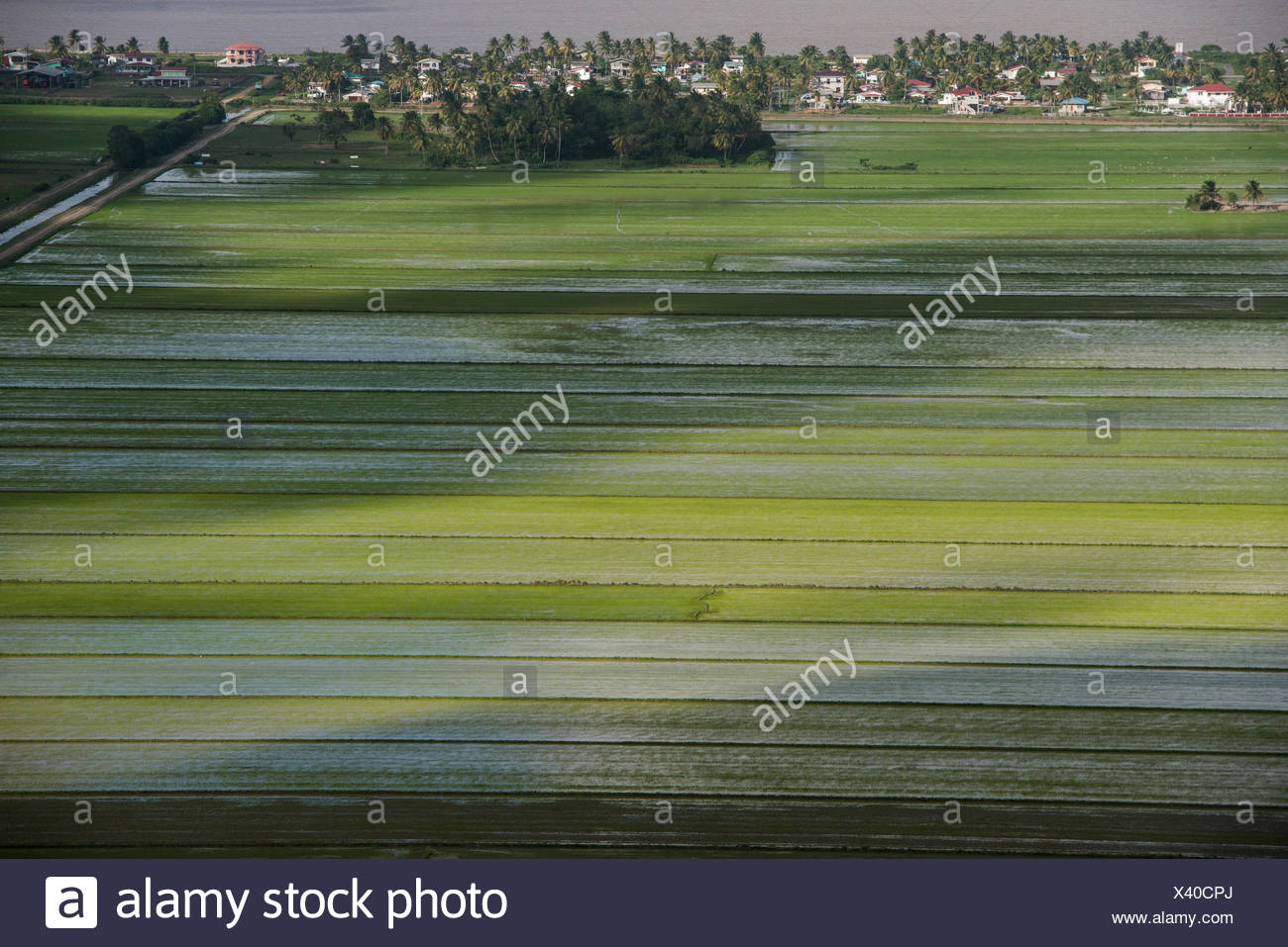 Crop Area High Resolution Stock Photography and Images - Alamy
