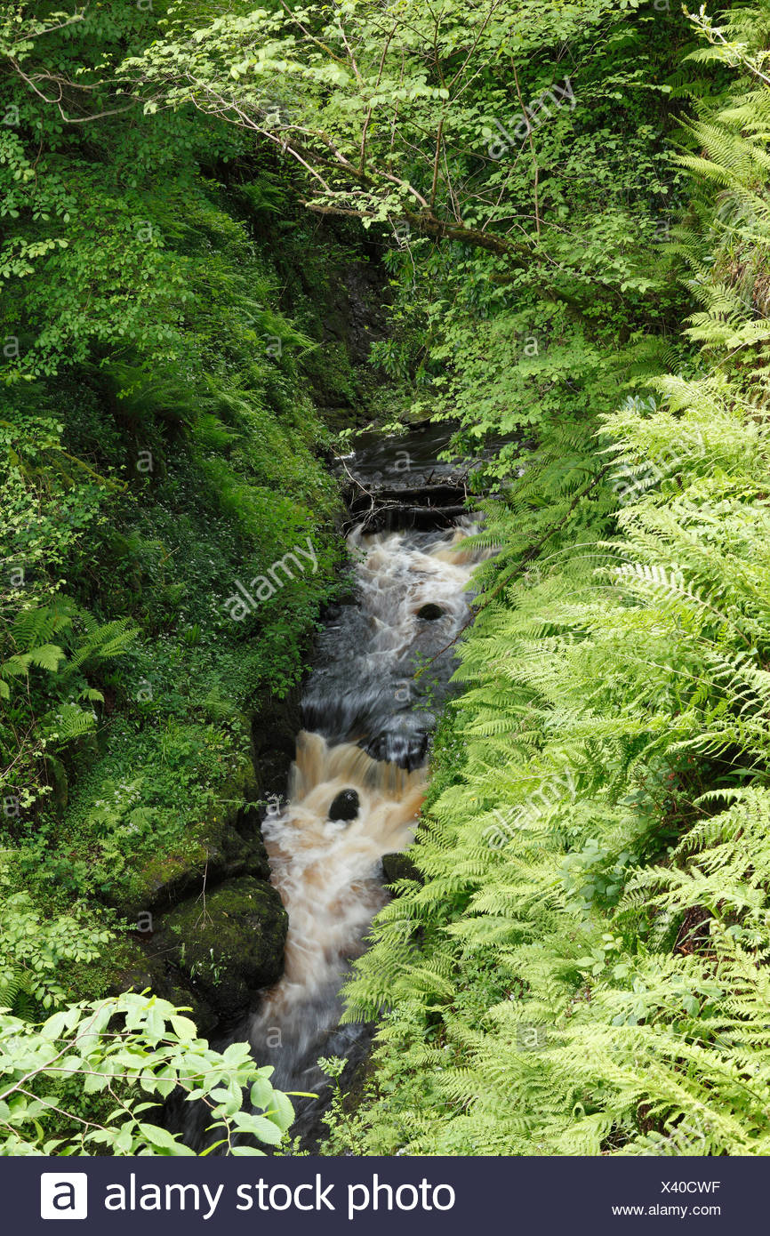 Glenariff Waterfalls County Antrim Northern Stock Photos & Glenariff ...