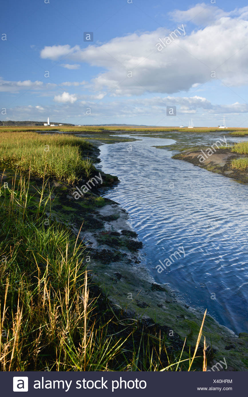 Creeks Coast Coastal Saltmarsh High Resolution Stock Photography and ...