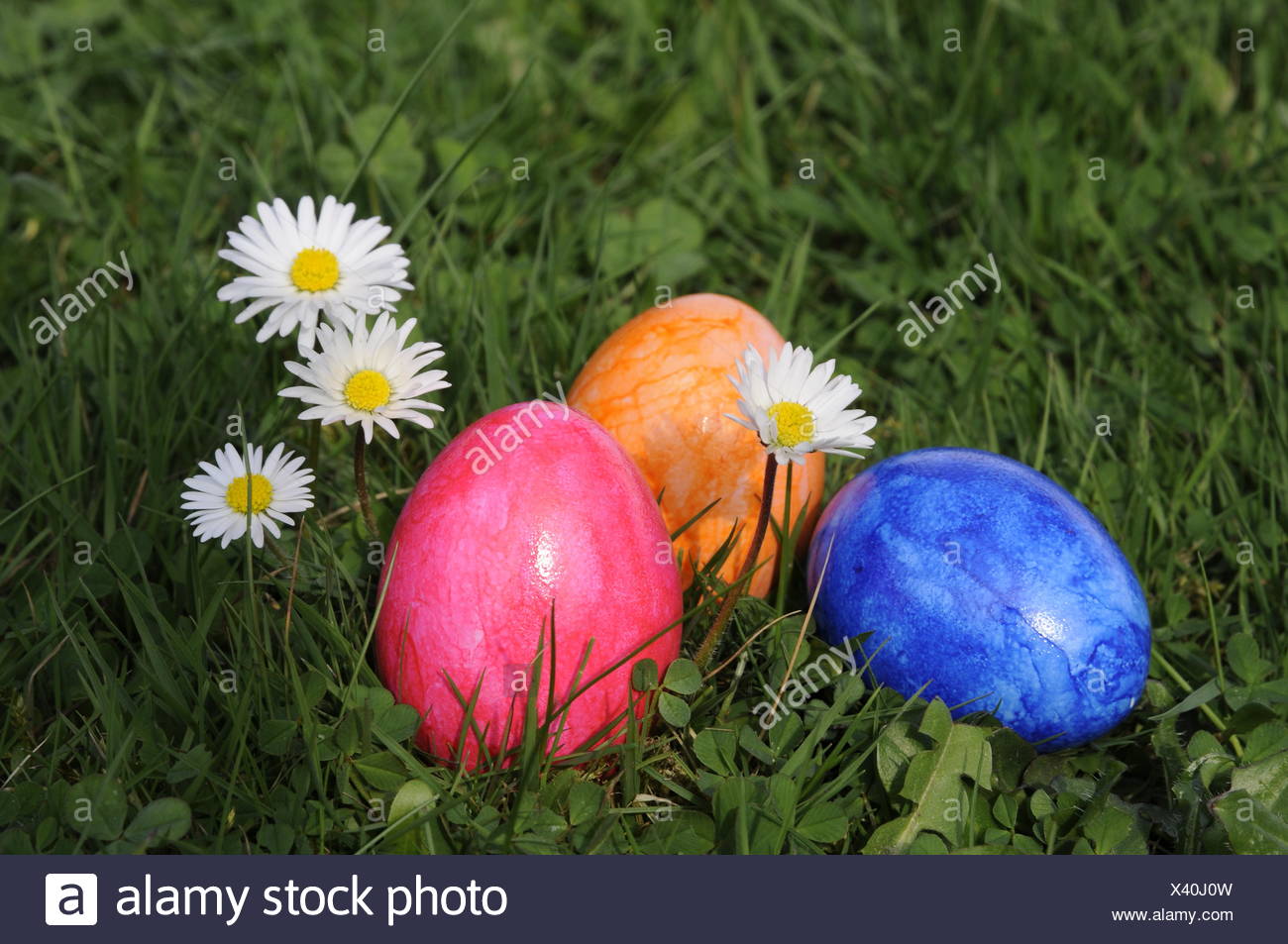 Ostereier High Resolution Stock Photography and Images - Alamy