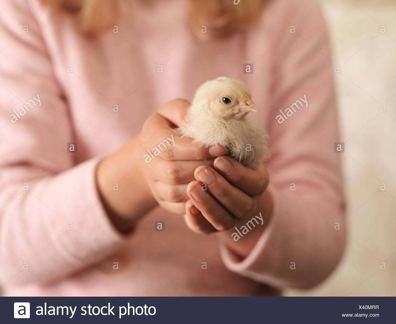 Careful Hand High Resolution Stock Photography and Images - Alamy