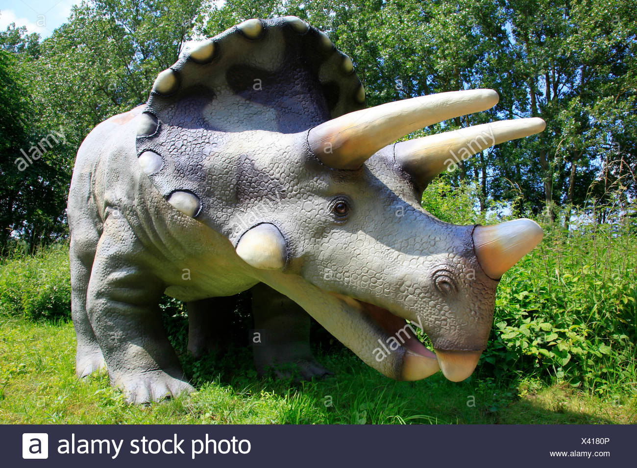 Horned Dinosaurs High Resolution Stock Photography and Images - Alamy