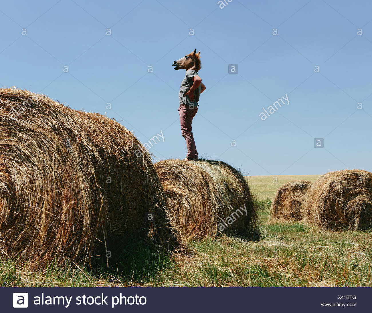 Bale Hay By Hand High Resolution Stock Photography and Images - Alamy