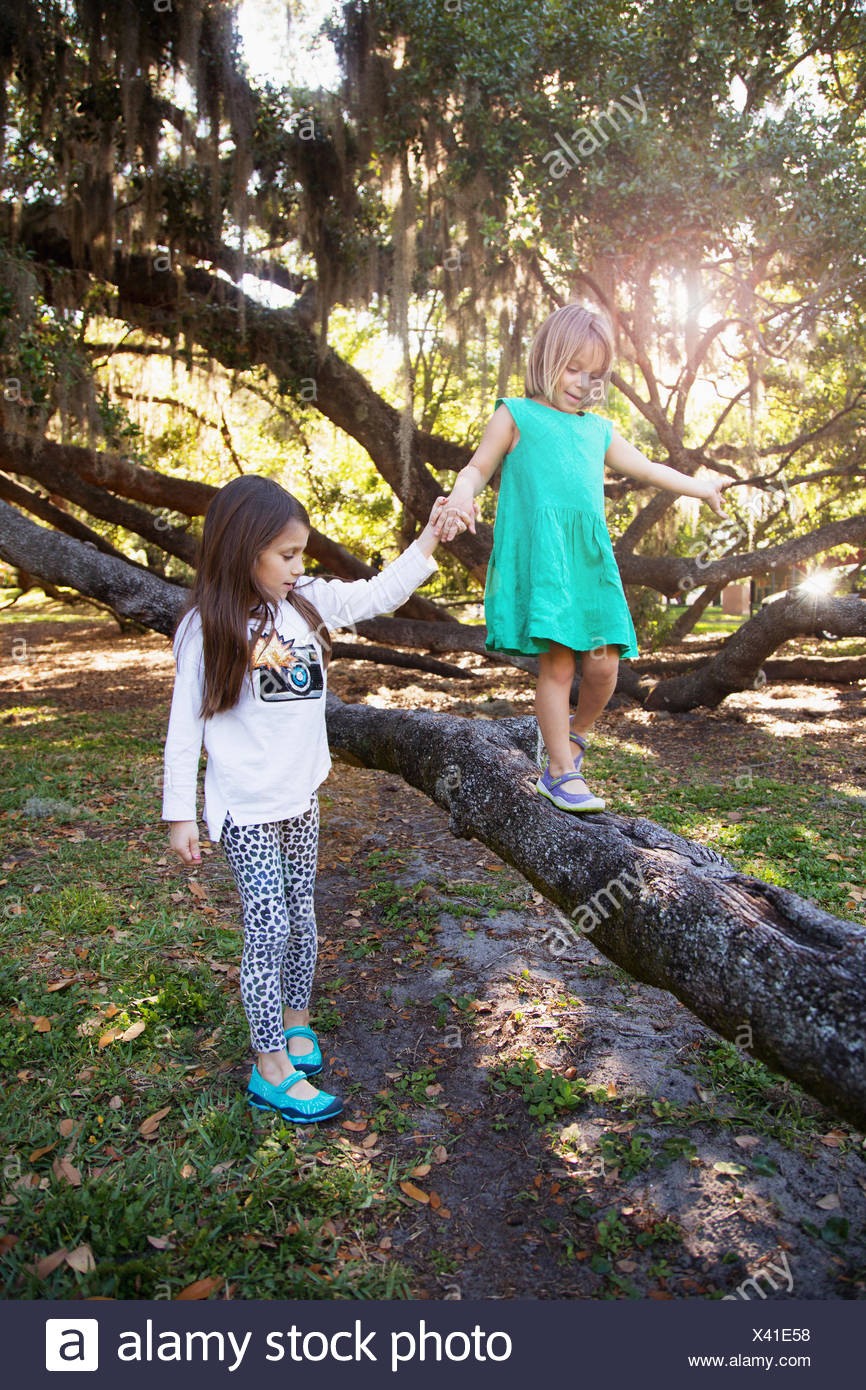 Hand Holding Tree Branch High Resolution Stock Photography and Images ...