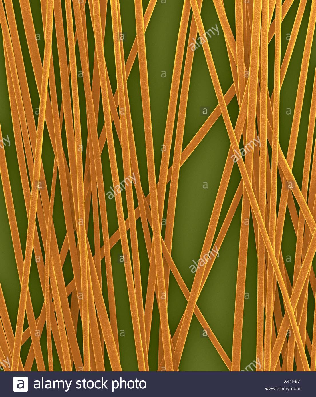 Keratin Micrograph High Resolution Stock Photography and Images - Alamy