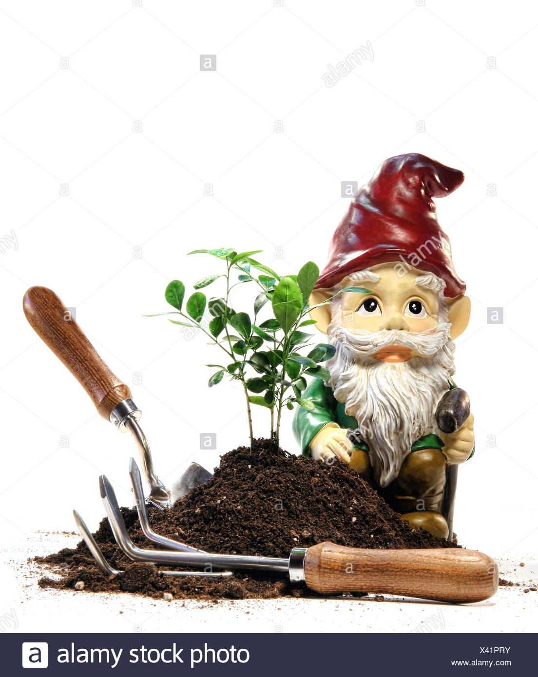 White Garden Gnome Stock Photos & White Garden Gnome Stock Images - Alamy