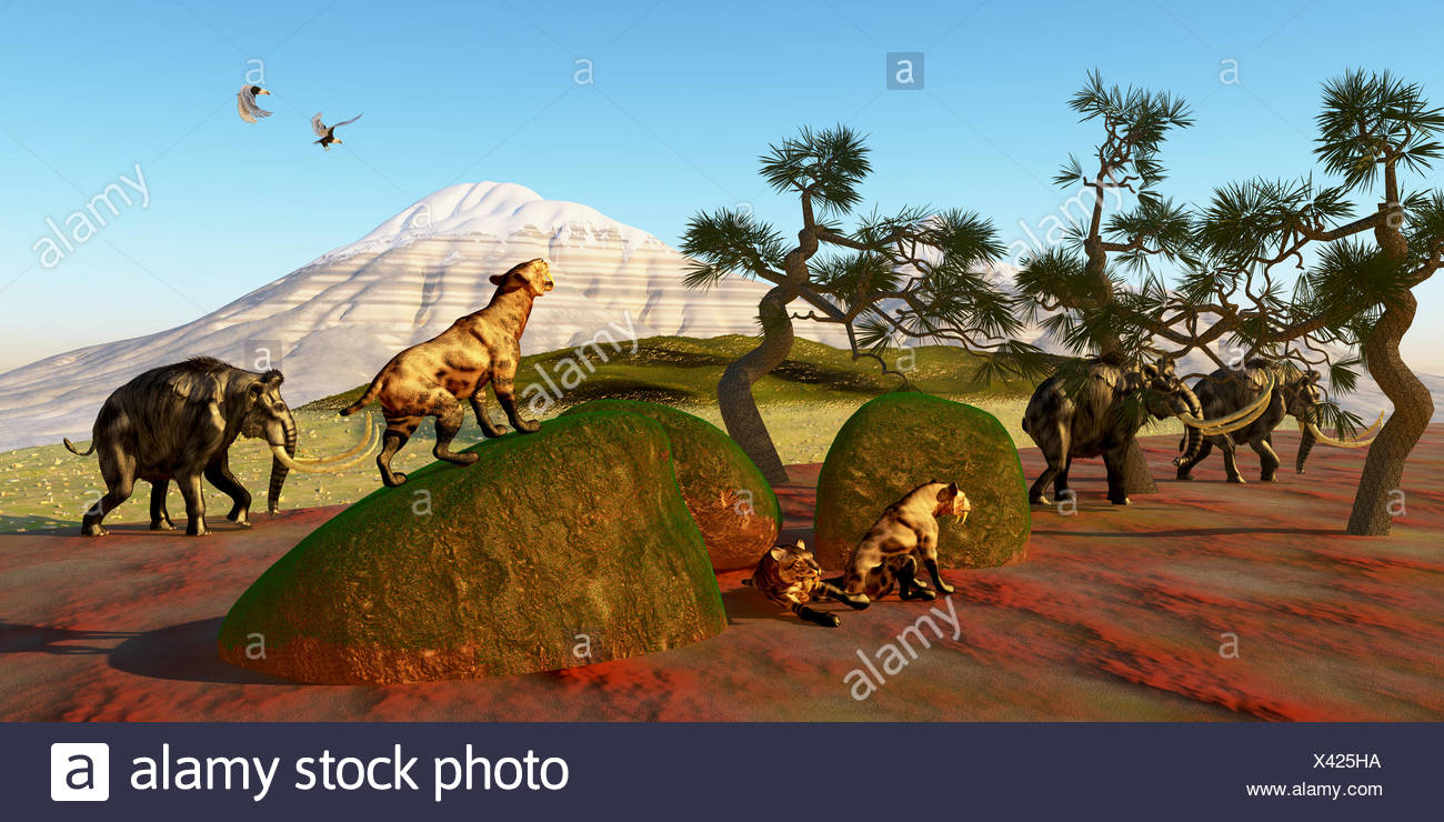 Elephant Bird Extinct High Resolution Stock Photography and Images - Alamy