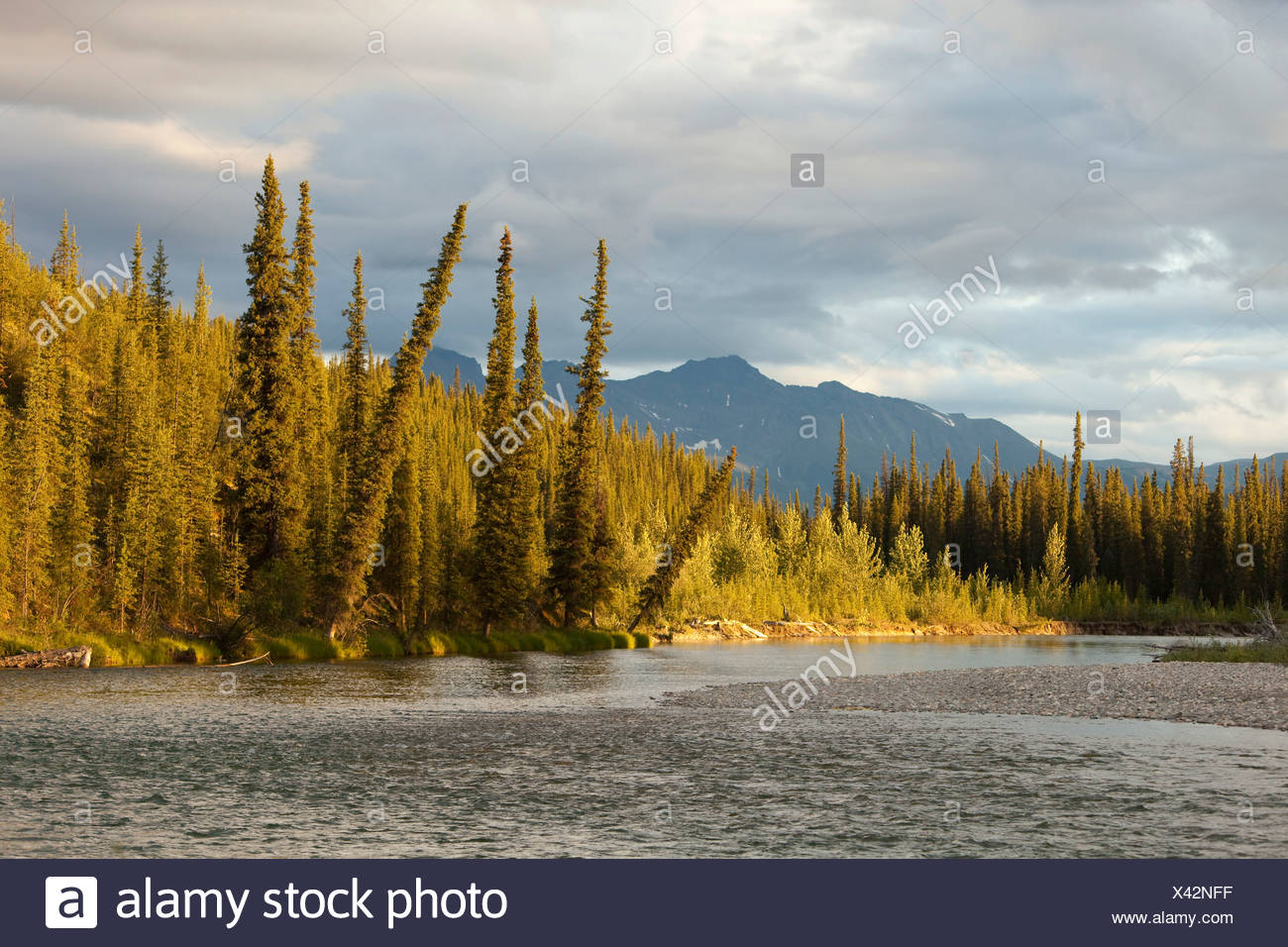 Boreal Mountain Stock Photos & Boreal Mountain Stock Images - Alamy