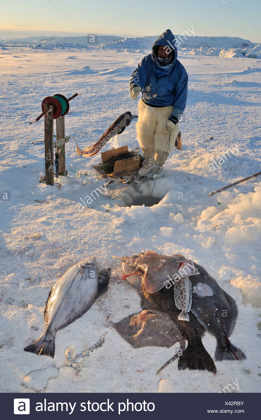 Inupiks Stock Photos & Inupiks Stock Images - Alamy