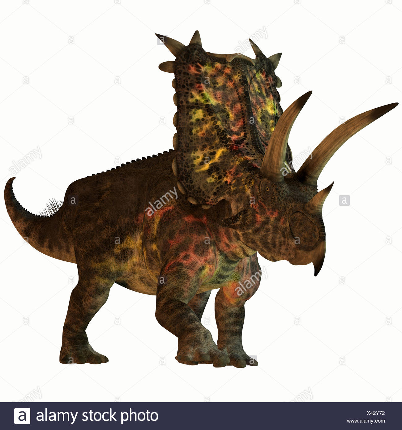 Ceratopsid High Resolution Stock Photography and Images - Alamy