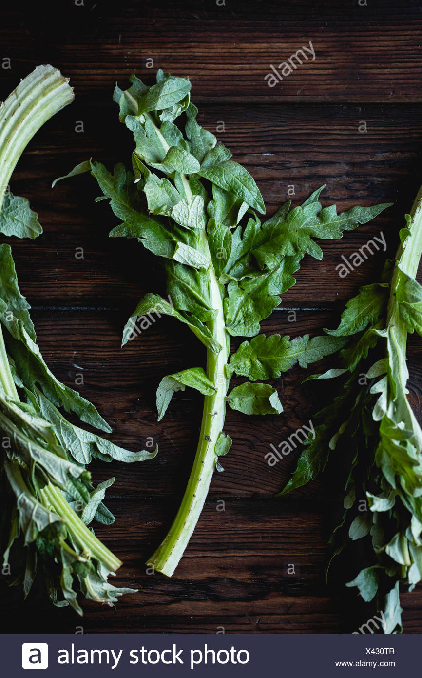 Cardoni High Resolution Stock Photography and Images - Alamy