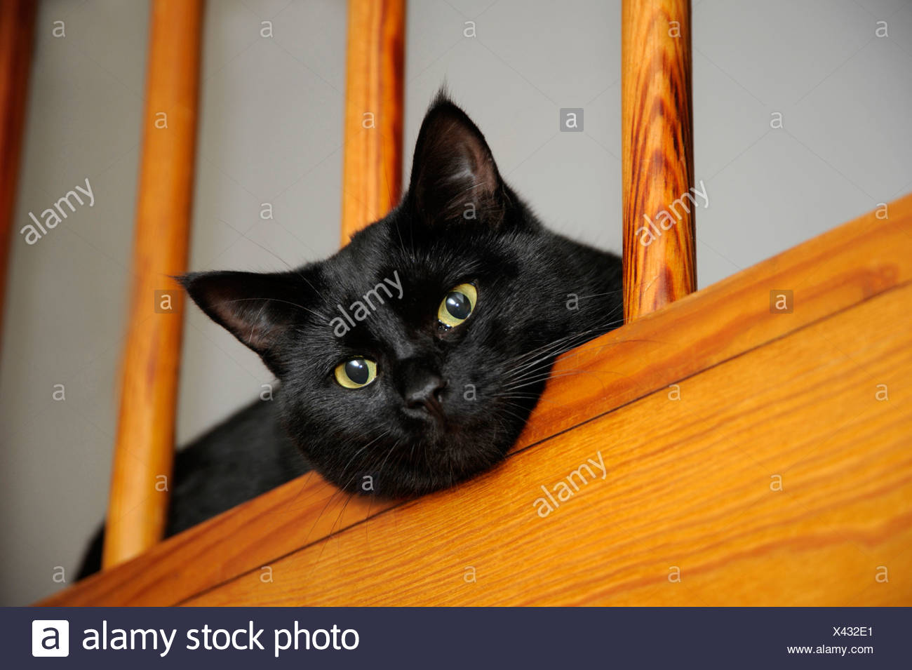 Black Banister High Resolution Stock Photography and Images - Alamy