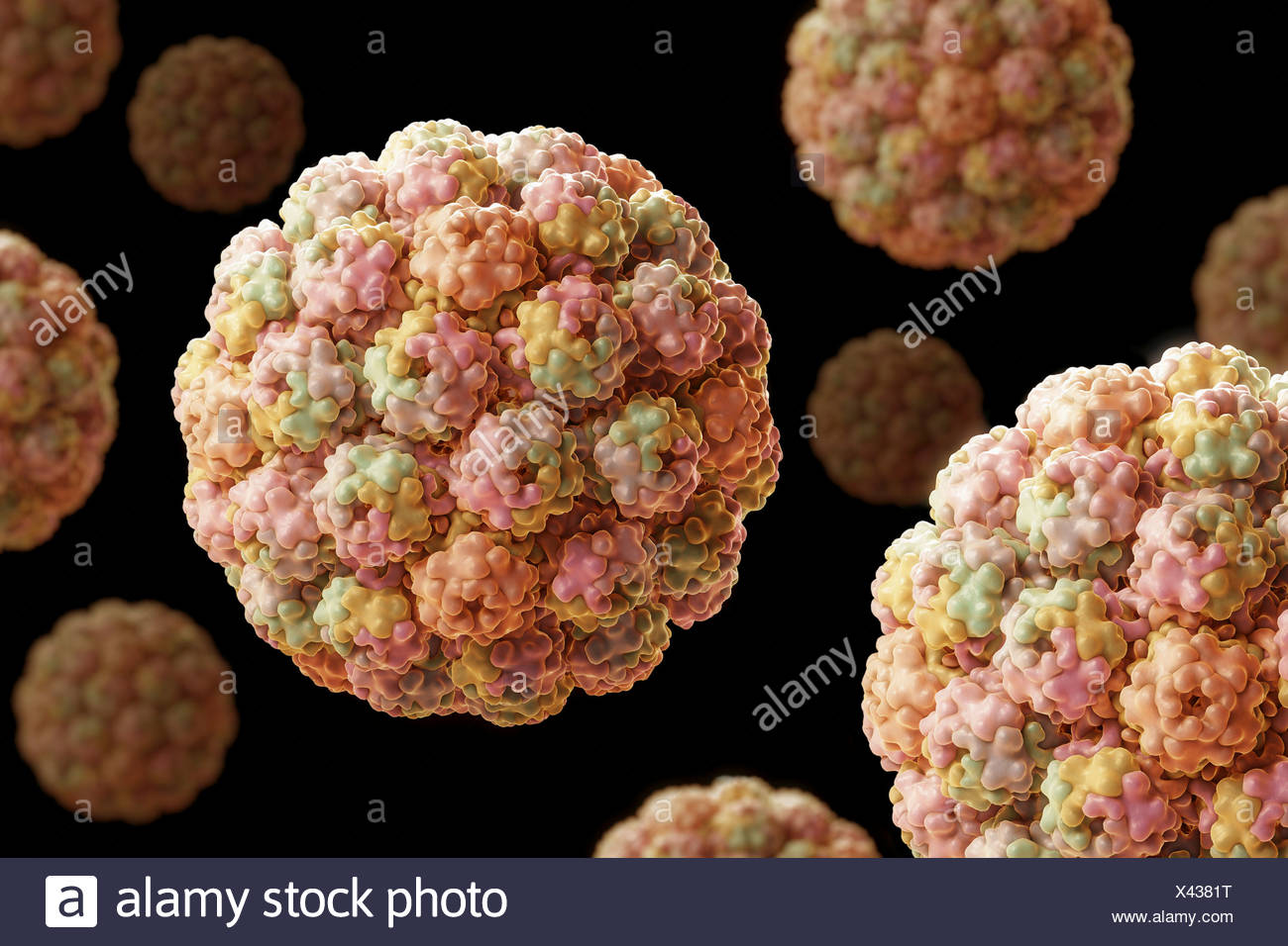 Polyomaviridae High Resolution Stock Photography and Images - Alamy