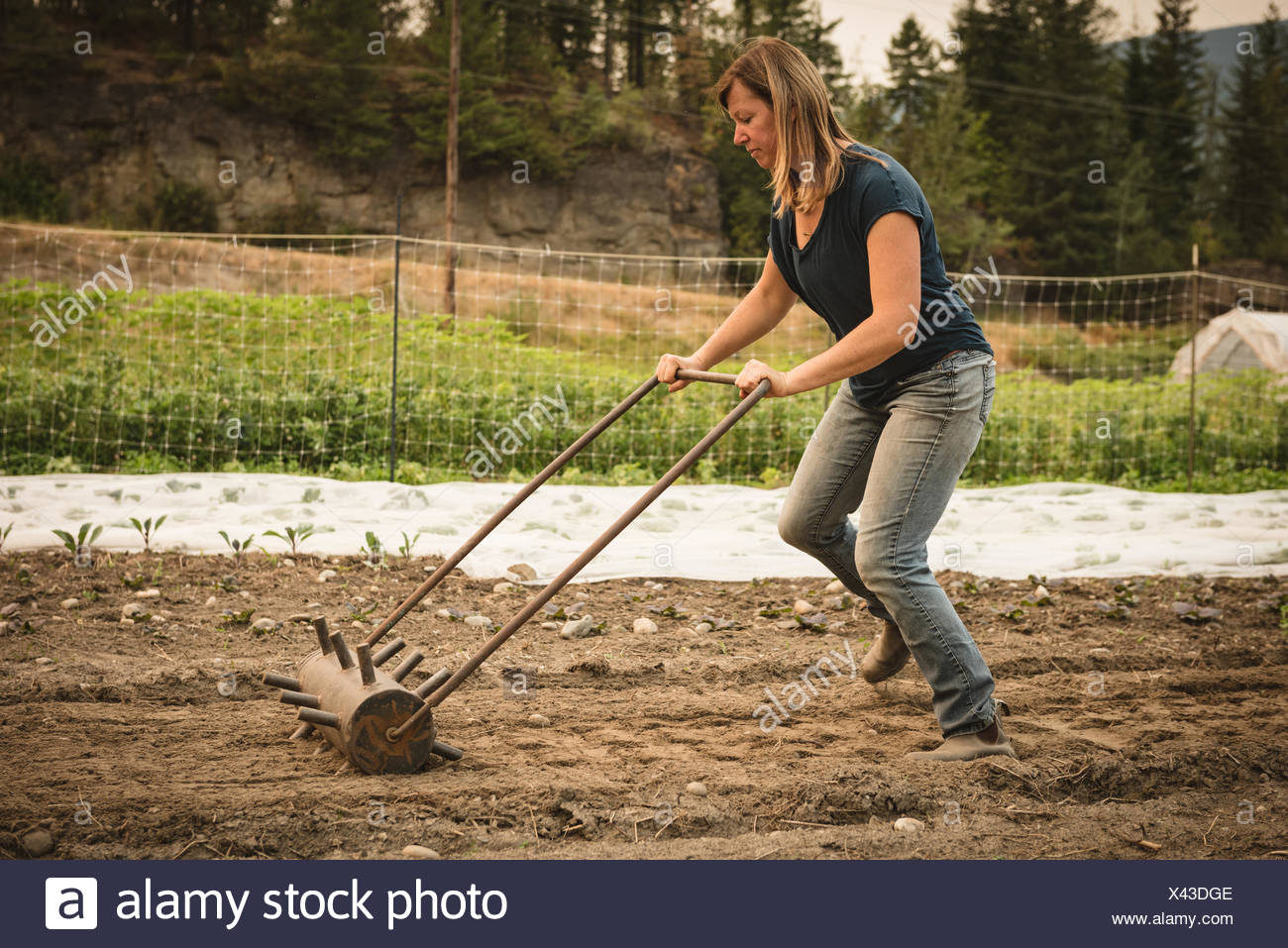Woman Ploughing Field High Resolution Stock Photography and Images - Alamy