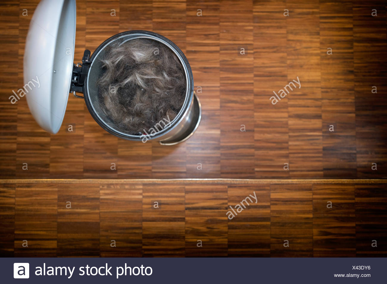 Cutting Off Hair High Resolution Stock Photography and Images - Alamy