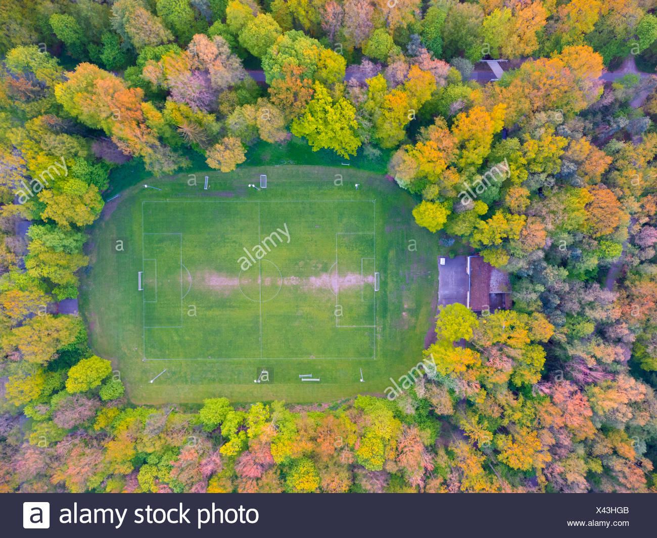 Soccer Ground In Forest High Resolution Stock Photography and Images ...