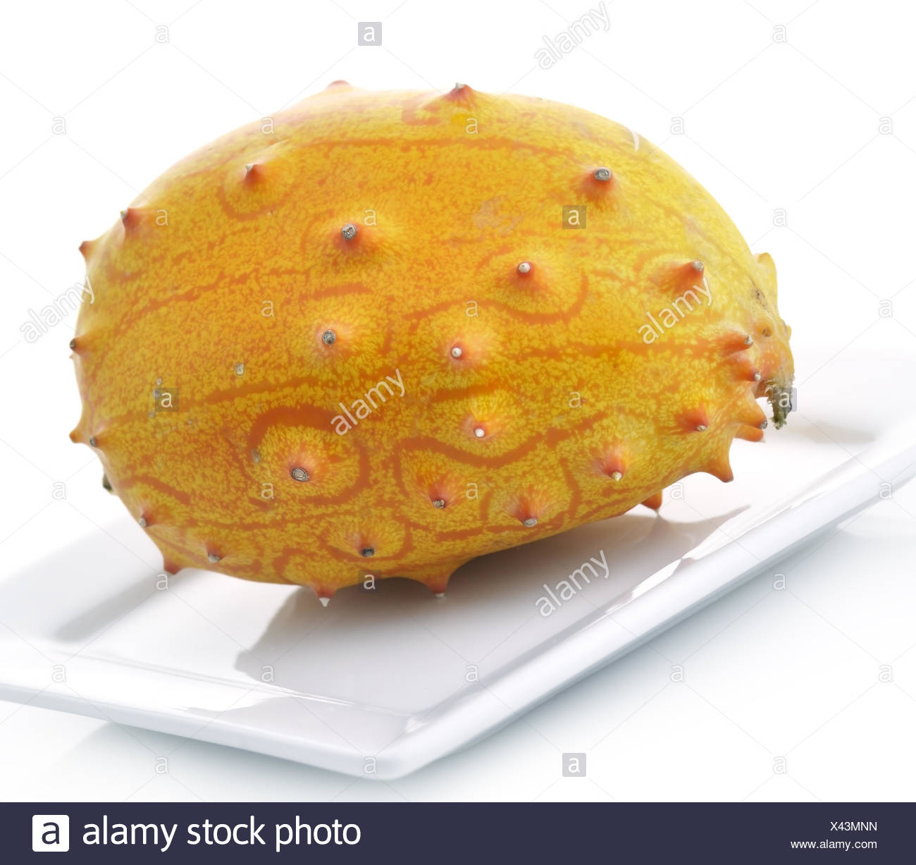 African Melon Stock Photos & African Melon Stock Images - Alamy